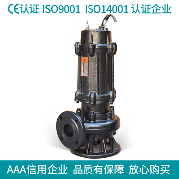 WQ50-20-15污水泵,温州污水泵,市政工程污水泵 建筑工地排污泵-阿里巴巴