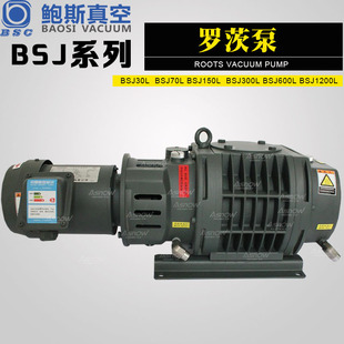 鲍斯罗茨增压真空泵BSJ70L互换爱发科罗茨泵PMB300D用于检漏设备-阿里巴巴