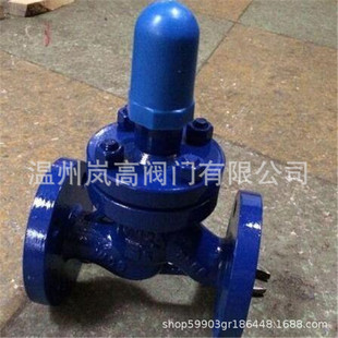 国标 ZSX41X-16C 梭式泄压阀 管道泄压阀 DN50-阿里巴巴