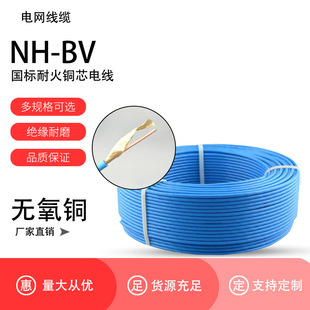 BV铜芯电线电缆BVR/NHBV/WDZBYJ/WDZNBYJ单股铜塑线2.5 4 6平铜线-阿里巴巴
