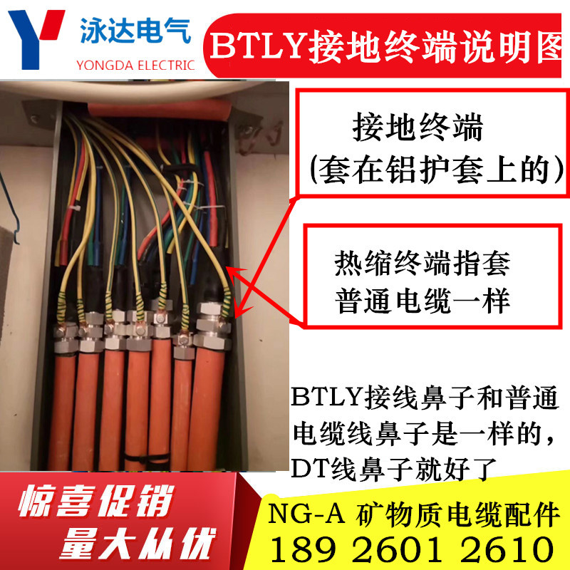 矿物质电缆头BTLY电缆头5*6矿物电缆头NG-A铝终端-阿里巴巴