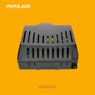 DSE9130柴油发电机组铅酸蓄电池电瓶浮冲充电器DSE9255 12V 24V-阿里巴巴
