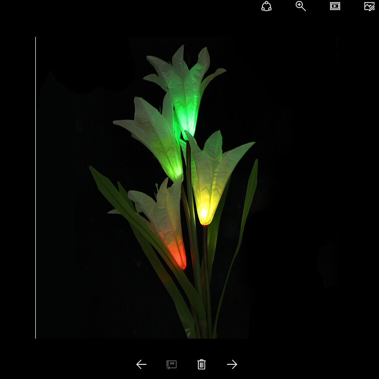 Solar Lily Lantern Manufacturer Supplies 4Led White Lily Lantern Purple ...