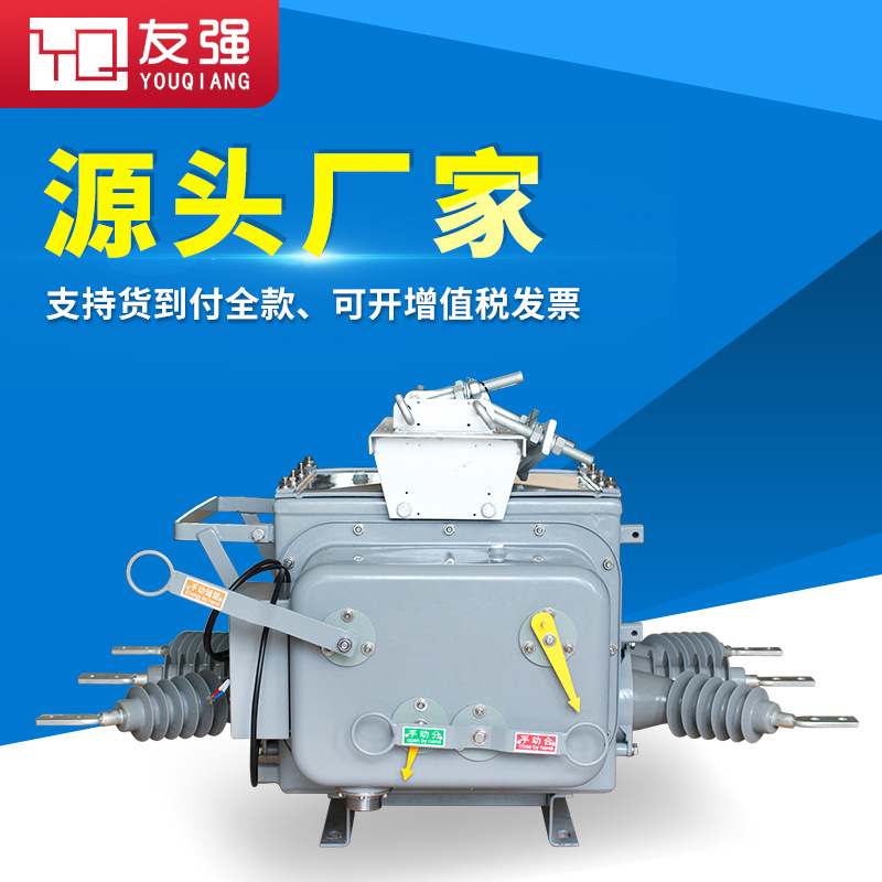 10KV户外高压真空断路器ZW20-12/630A-20KA分界开关手动操作中压-阿里巴巴