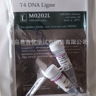 NEB T4 DNA 连接酶 M0202L 400,000 units/ml-生命科学-阿里巴巴