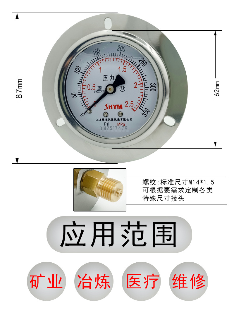 YN60ZT 充油抗震法兰边面板背接式M14*1.5 2分轴向带边耐震压力表-阿里巴巴