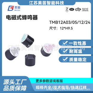 厂家直供TMB12A05有源一体蜂鸣器 3V5V12V24V 12095有源蜂鸣器-阿里巴巴