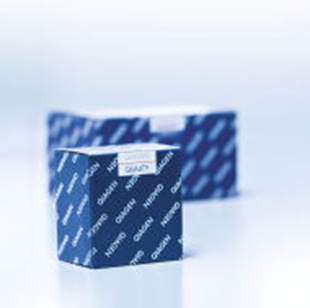 12945 QIAGEN 凯杰 QIAGEN Plasmid Plus Midi Kit (100)试剂-阿里巴巴