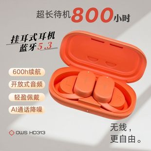 新款跨境HD313无线蓝牙耳机TWS夹耳挂耳式运动降噪蓝牙耳机跨境-阿里巴巴