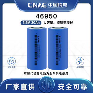 中国钠电 CNAE 46950 磷酸铁锂电池定制-阿里巴巴