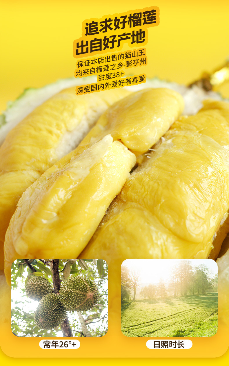猫山王D197榴莲AA级果肉400g一箱D197马来西亚冷冻盒装带核纯鲜-阿里巴巴
