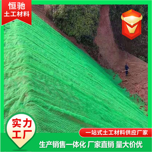 定制三维土工网垫加筋植草固土生态修复护坡网喷播三维植被网 阿里巴巴