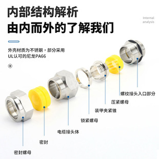 npt1/2不锈钢304铠装防爆格兰头填料函DQM电缆双密封BDM接兴之迪-阿里巴巴