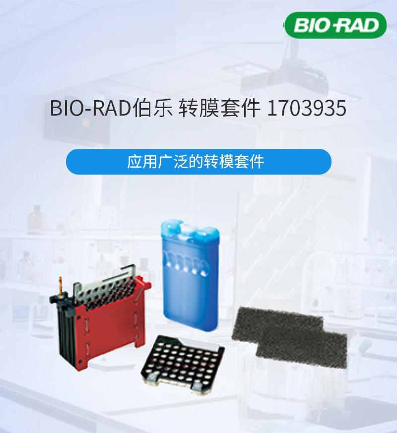 伯乐 Bio-Rad 转膜套件 Mini-trans-blot Module 1703935转印芯-阿里巴巴