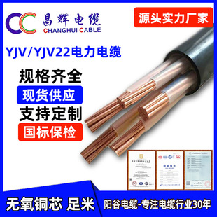 厂家供应阳谷国标5芯电缆线 YJV5*16平方电力电缆YJV5*10铜芯电缆-阿里巴巴