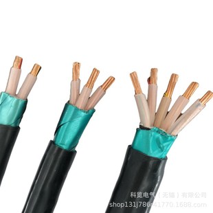 STP-120欧姆双绞屏蔽线RS485CAN总线RVVSP22/RVV22/RVVP22信号线-阿里巴巴