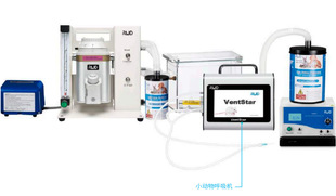 小动物呼吸麻醉机系统 型号:RWD-R415/R500-阿里巴巴