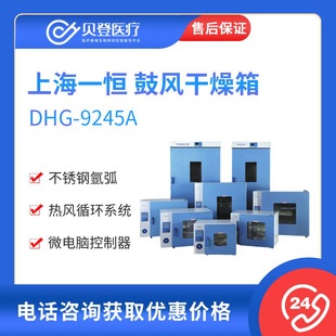 一恒 9000系列鼓风干燥箱（DHG-9245A）-阿里巴巴