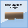 英伟达NVIDIA全新GPU NVIDIA L20 48G 数据中心计算显卡-阿里巴巴