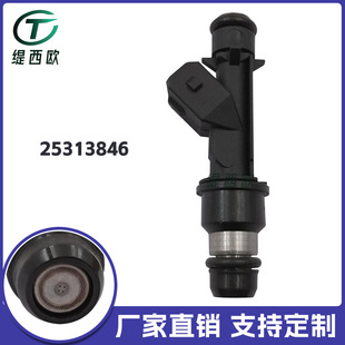适用于GM 沃克斯豪尔 喷油嘴 燃油喷射器 25313846 25343299-阿里巴巴