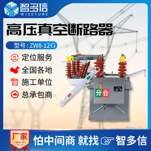 ZW8高压真空断路器ZW8-12G/630A户外10KV手动智能带隔离柱上开关-阿里巴巴