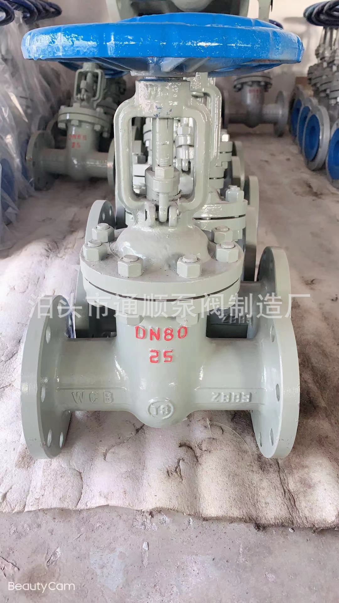 Z41H-16C碳钢法兰闸阀 蒸汽铸钢手动闸阀 WCB明杆闸阀DN100 250-阿里巴巴