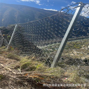 成都RXI-075型被动防护网 防落石防护网 PPS-100柔性防护网-阿里巴巴