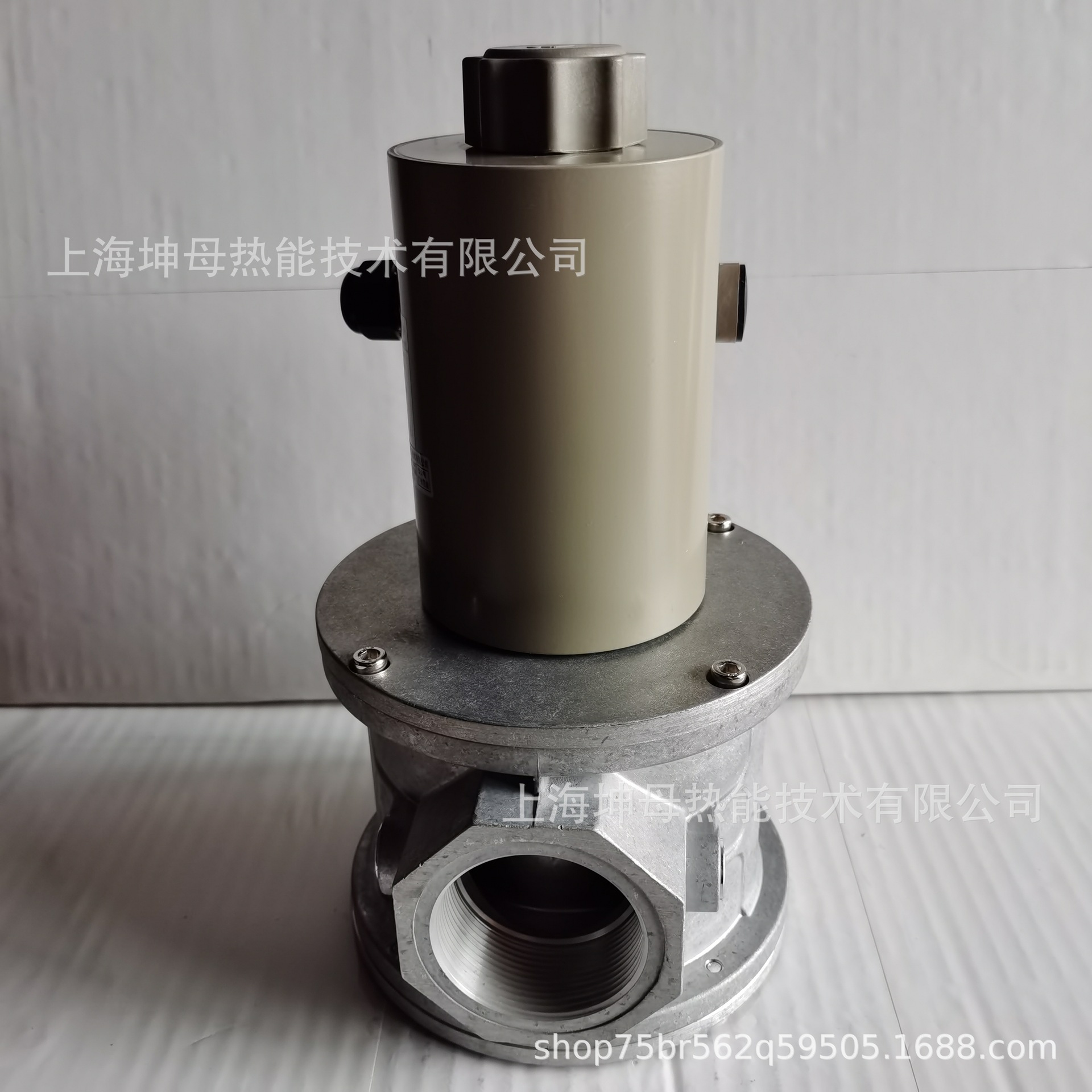 gzsinon/思能SG-65FS/220燃气阀门-阿里巴巴