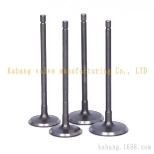 生产厂家 进排气门 4895051 4895052 一手货源 型号全-阿里巴巴