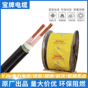 宝牌电缆YJV2芯1.5-630平方铠装 阻燃 耐火 低烟无卤低压电力电缆-阿里巴巴