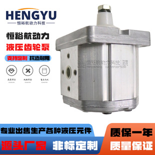 迪普马DUPLOMATIC齿轮泵GP2-011R95B GP1-0020R95 GP3-0427液压泵-阿里巴巴