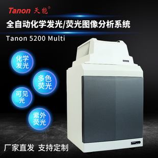 天能Tanon 5200全自动化学发光荧光图像分析系统小鼠动物活体成像-阿里巴巴