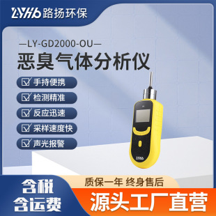 LY-GD2000-OU恶臭气体分析仪路扬环保 环境臭味检测仪臭气检测仪-阿里巴巴