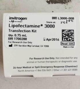 赛默飞life lipo2000转染试剂11668027规格0.75ml-阿里巴巴