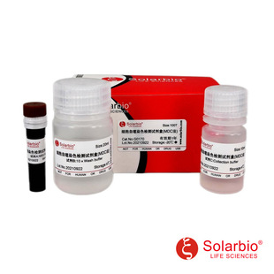 G3061GUS染色试剂盒(即用型) GUS Stain Kit，Ready-To-Use科研用-阿里巴巴