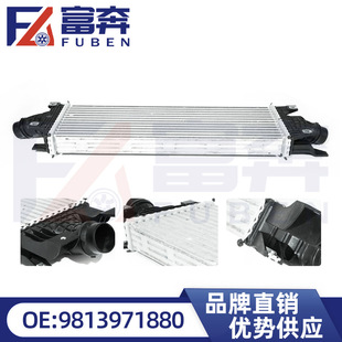 9813971880适配标志308 DS 中冷器-阿里巴巴
