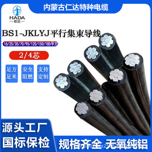 国标BS1-JKLYJ架空电缆2芯*10 16 25 4*16 25 35 50平行集束导线-阿里巴巴