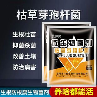 枯草芽孢杆菌微生物菌剂改良土壤生根壮苗防治重茬提高肥效通用型-阿里巴巴