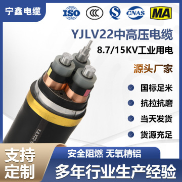 国标铝芯YJLV22 3芯电线电缆 平方高压线缆电缆线隧道防爆用-阿里巴巴