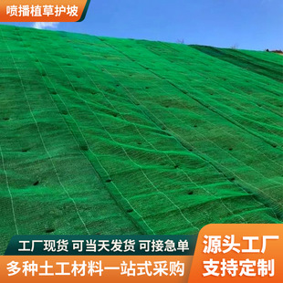 喷播植草三维植被网固土护坡三维网垫hdpe绿化网垫生态绿化植被网 阿里巴巴