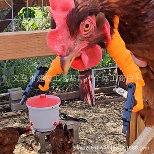 跨境亚马逊热销新 Chicken Arms with Gun带枪的鸡臂创意礼物道具-阿里巴巴