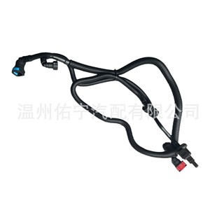 F2GZ9D289A994930ForFord碳罐电磁阀带管适用于福特环保净化-阿里巴巴