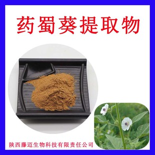 药蜀葵提取物10 1无中间商药蜀葵浓缩粉现货药蜀葵根提取物 阿里巴巴