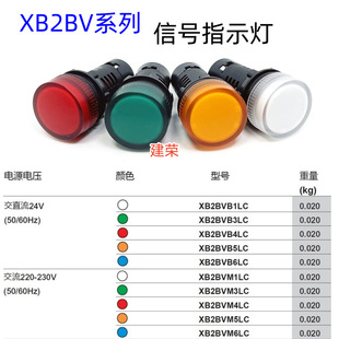 全新现货 LED信号指示灯 XB2BVM3LC/4LC/5LC XB2BVB3LC/4LC/5LC-阿里巴巴