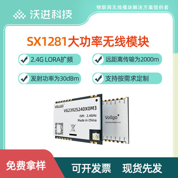 SX1281 2.4GHz 1W大功率 无人机遥控模块PA+LNA远距离lora 模块-阿里巴巴