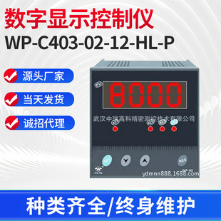 WP-C403-02-12-HL-P数字显示控制仪 WP上润数码智能数字显示仪-阿里巴巴