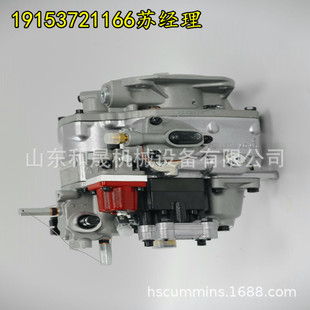 K50-M2发动机配件 3899108-20燃油泵 康明斯PT泵-阿里巴巴