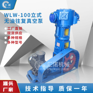 往复真空泵 无油真空泵 WLW型无油立式往复真空泵 往复泵WLW-100-阿里巴巴
