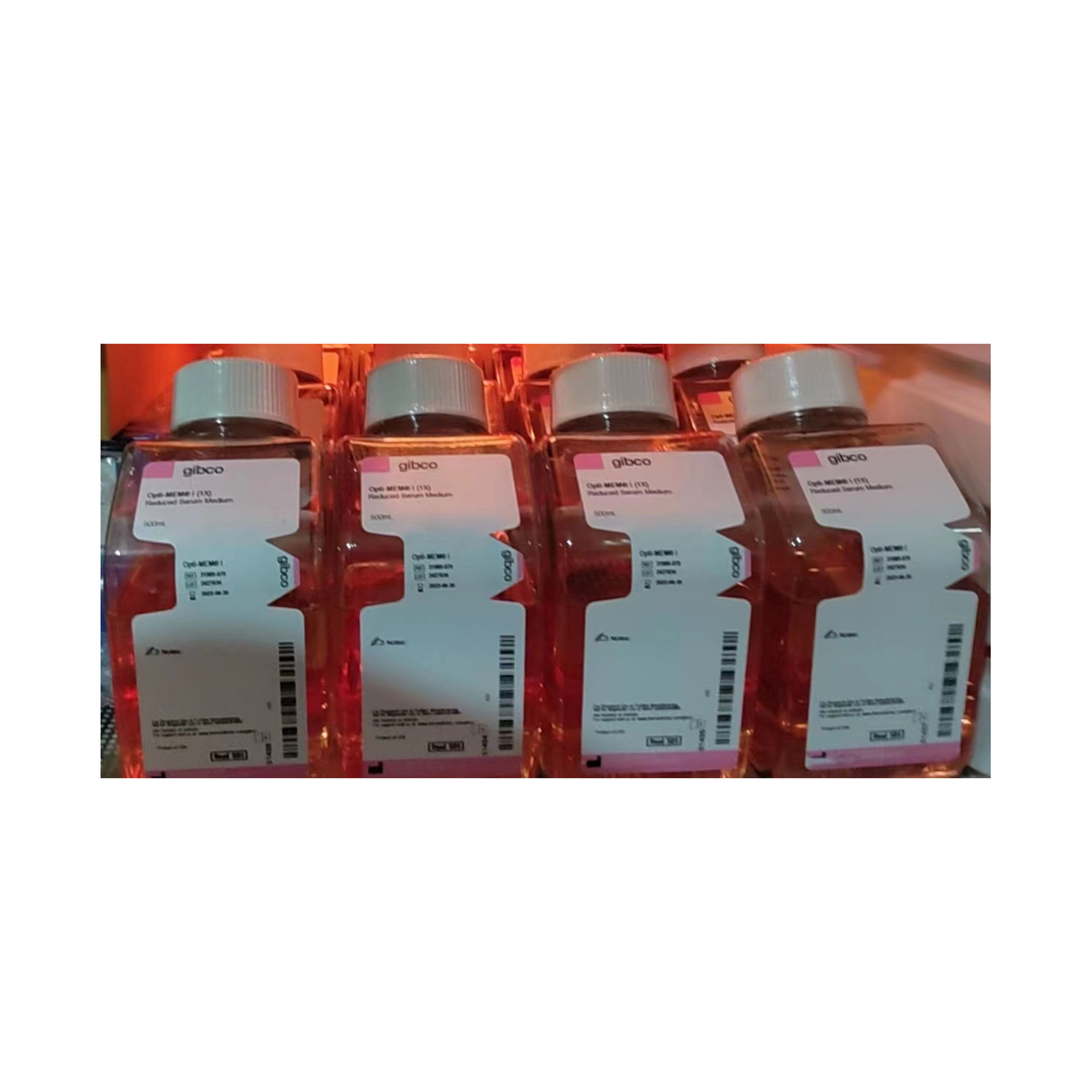 Gibco™opti Mem™ I Life 减血清培养基31985 070 500ml 瓶 包邮 阿里巴巴