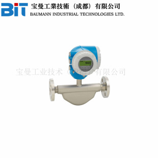 德国E+H恩德斯豪斯Proline Promass F300科里奥利质量流量计包邮-阿里巴巴
